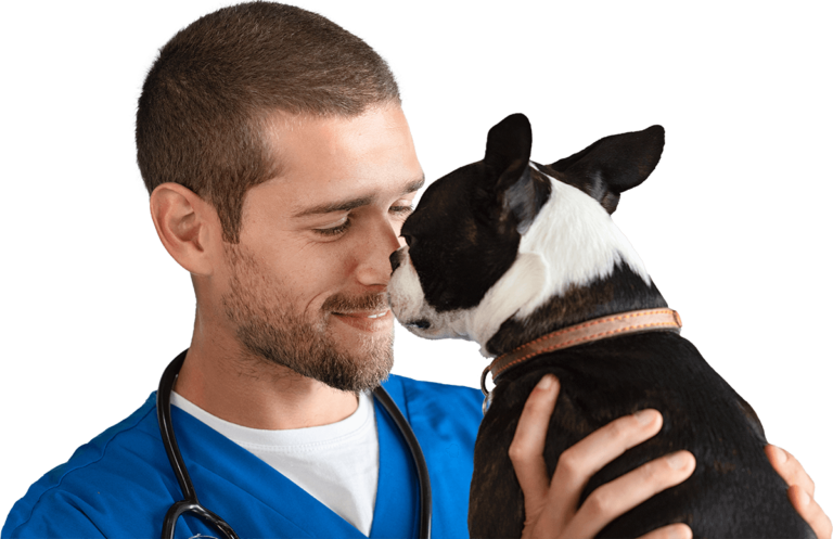 Veterinary Services - Humane Society of the Pikes Peak Region